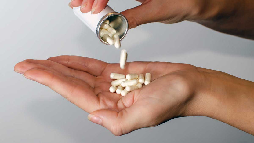 Bacillus Coagulans: Your Guide to This Gut Health Powerhouse